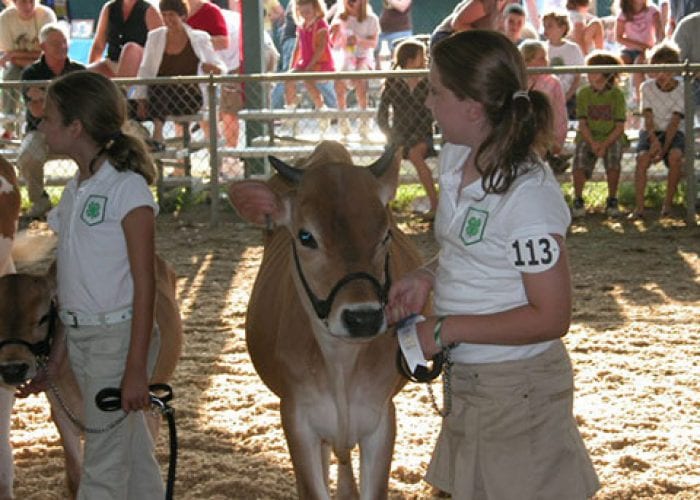4H Exhibitor Information 4H Youth Exhibitions 4H Demonstrations 4H Exhibitor Information 4H Youth Exhibitions 4H Demonstrations